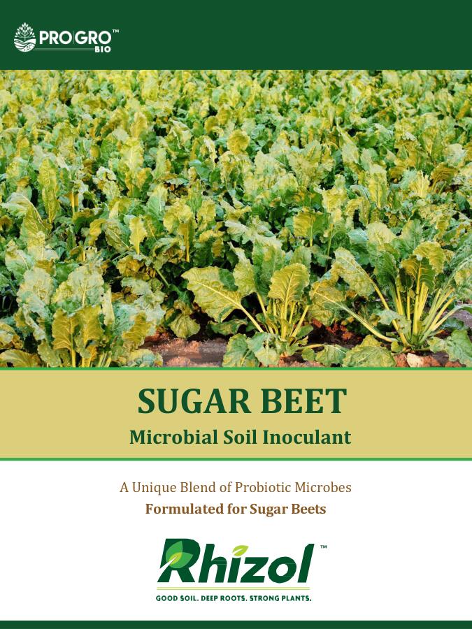 Sugar Beet – US Bio