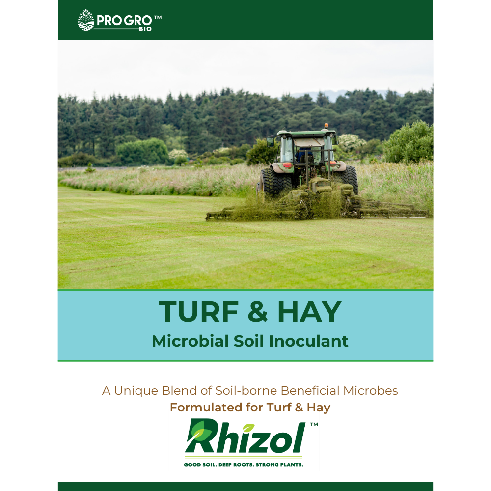 Rhizol Turf & Hay - Dissolvable Microbial Soil Inoculant – US Bio